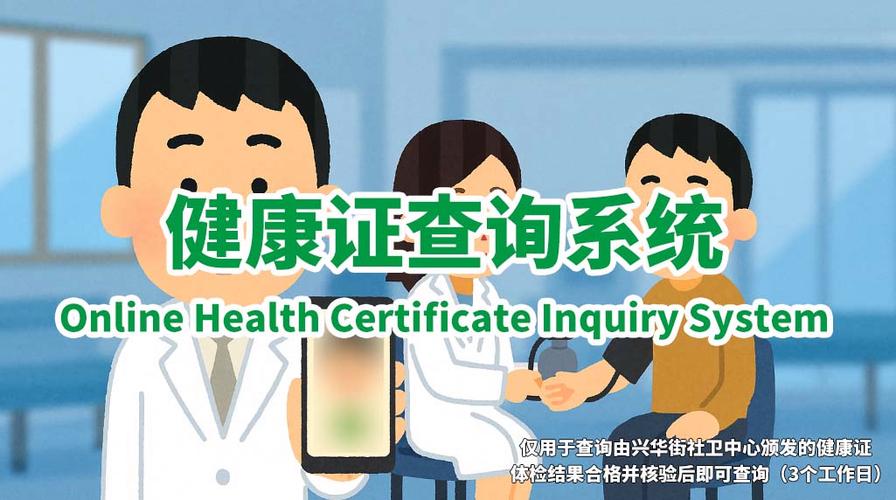 健康系统查询入口图标
