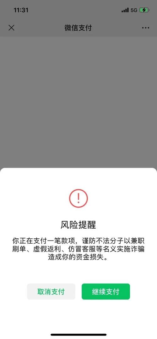 支付体系风险截图