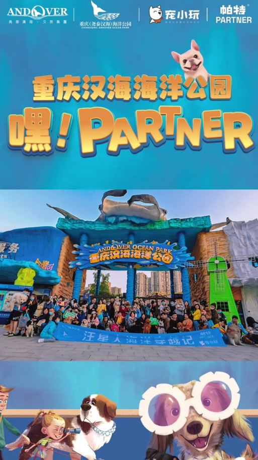 爱宠游宠物旅行团截图
