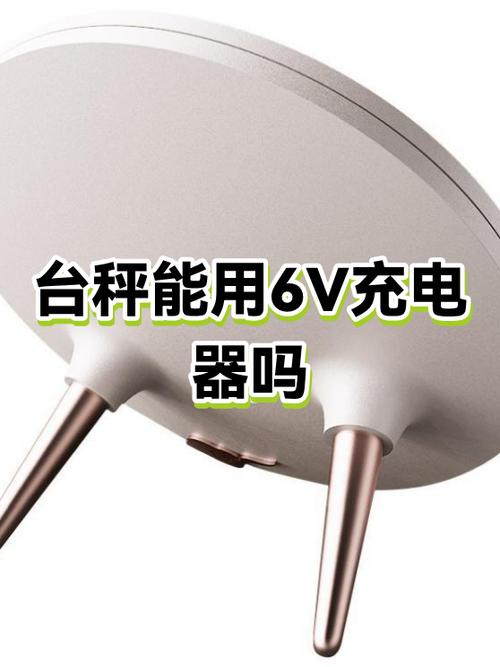 电子台秤充电器多少伏截图