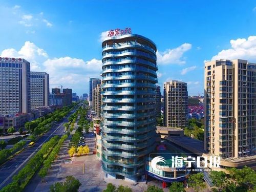 海宁日报电子版图标