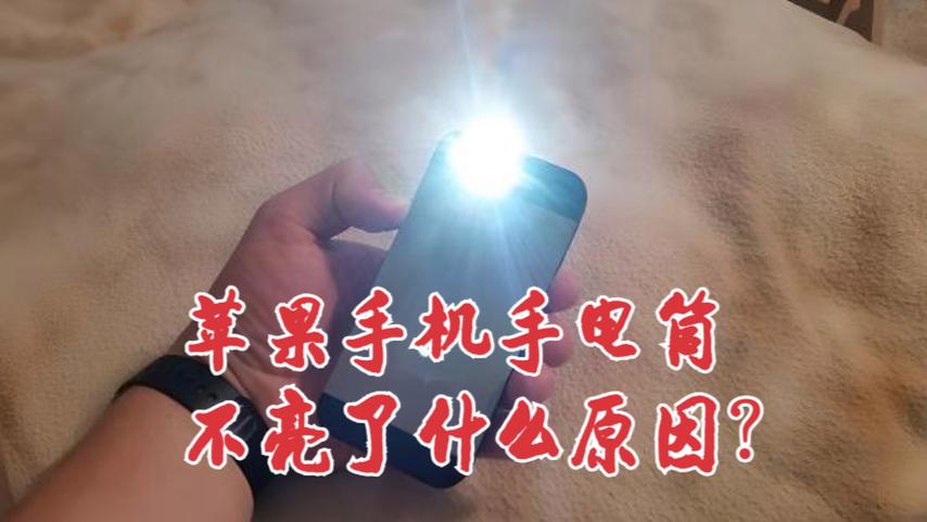 手电筒相机打不开怎么办截图