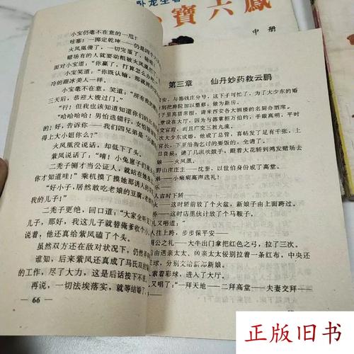 龙小宝田秀花小说截图
