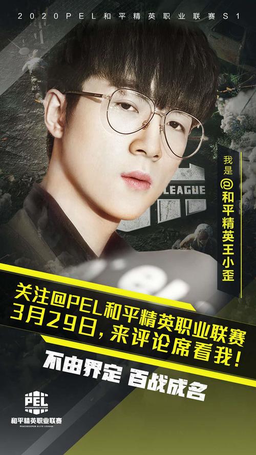 王小歪和平精英游戏解说截图
