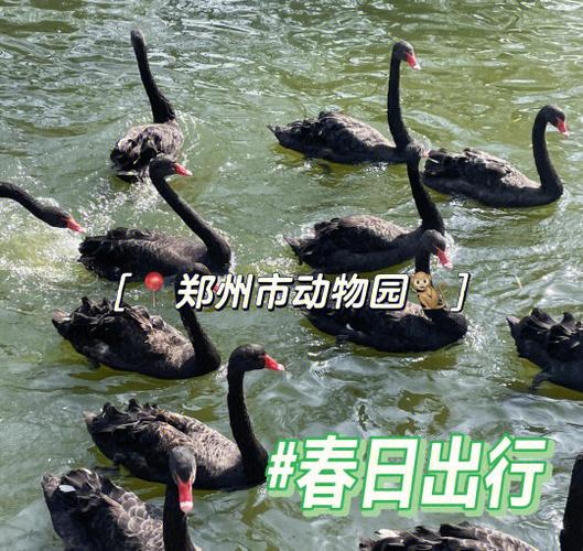 郑州动物园游玩路线图标