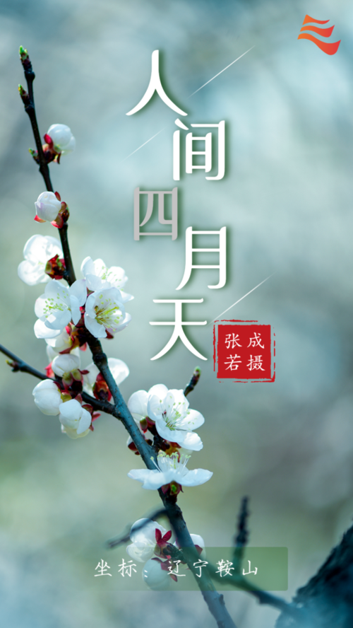四月天编辑图标