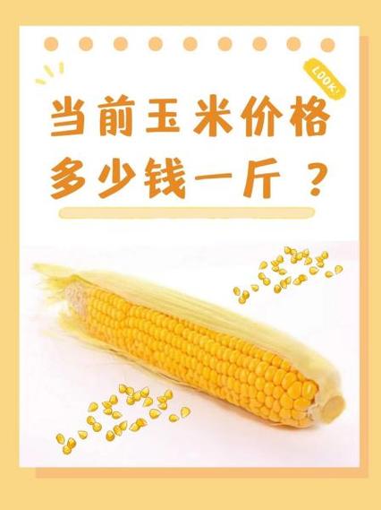 现在玉米多少钱一斤图标