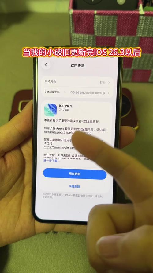 苹果11系统升级图标