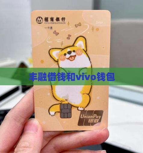 丰融借钱是vivo钱包吗图标