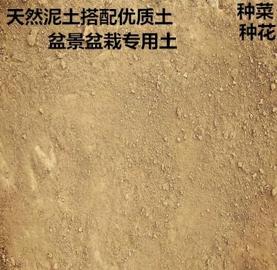 梅花用什么土最好图标