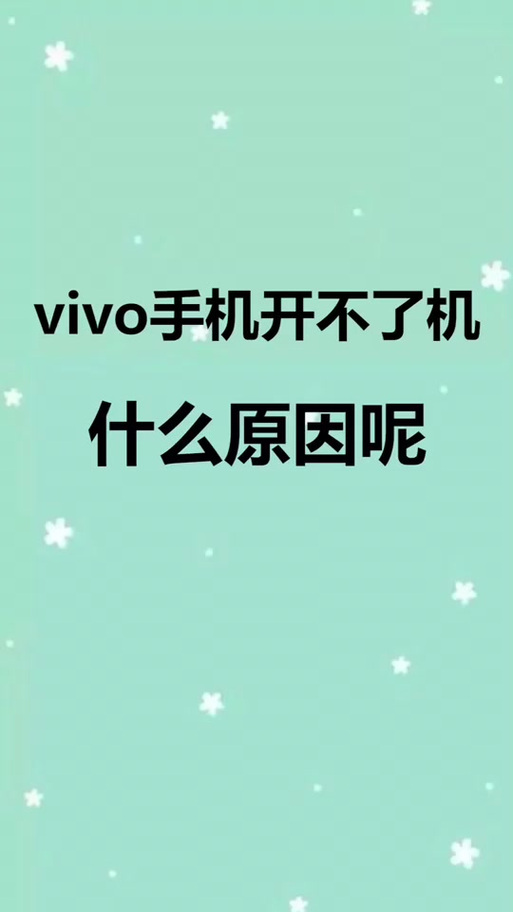 手机无缘无故自动重启vivo图标