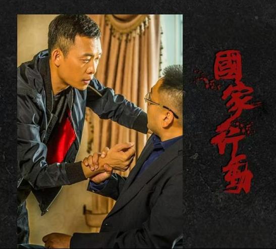 国家行动电视剧免费播放截图