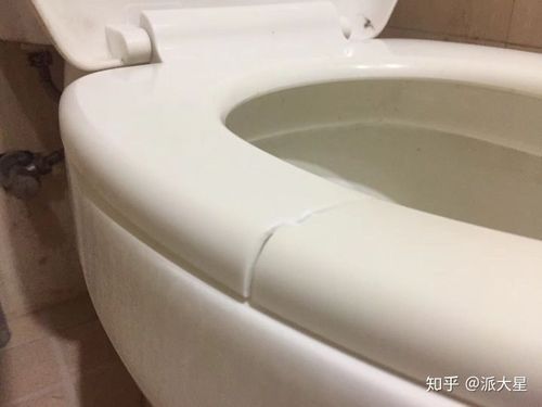 马桶坐垫坏了怎么换截图