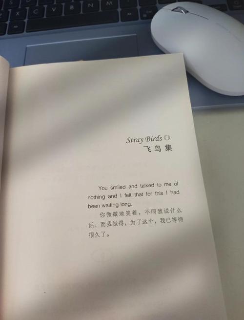 加入飞书的好处