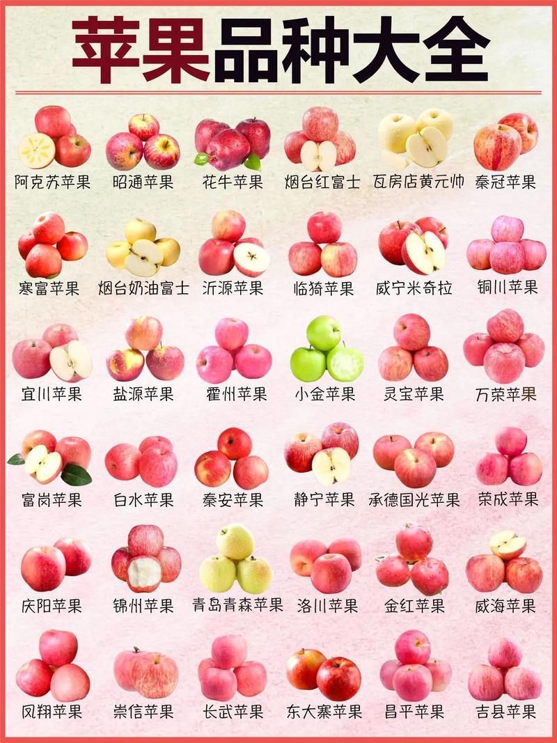 苹果相册怎么分类不重复图标
