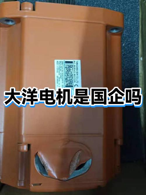 大洋电机是国企吗图标