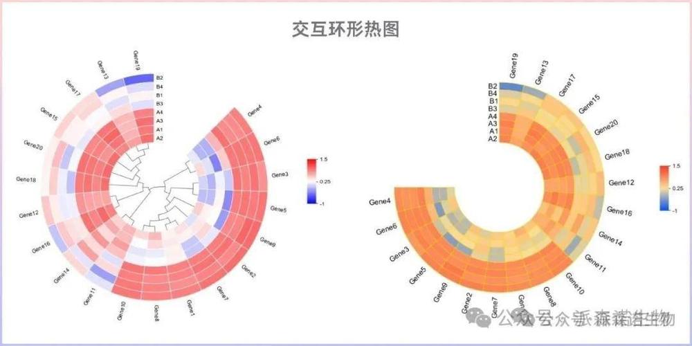 组合学及组合的生成器图标