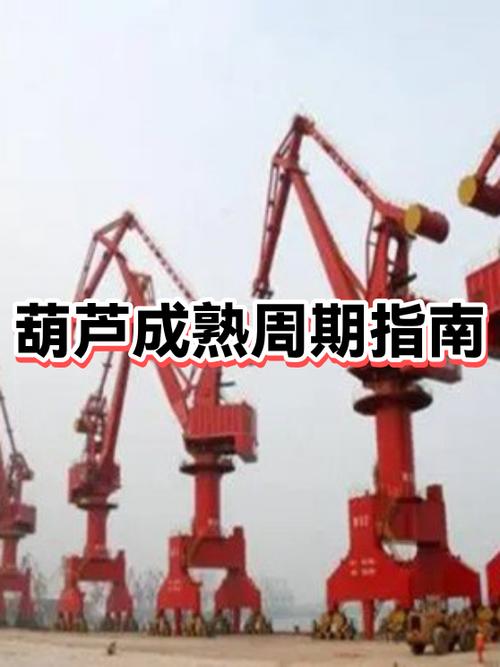 葫芦成熟需要多少天图标