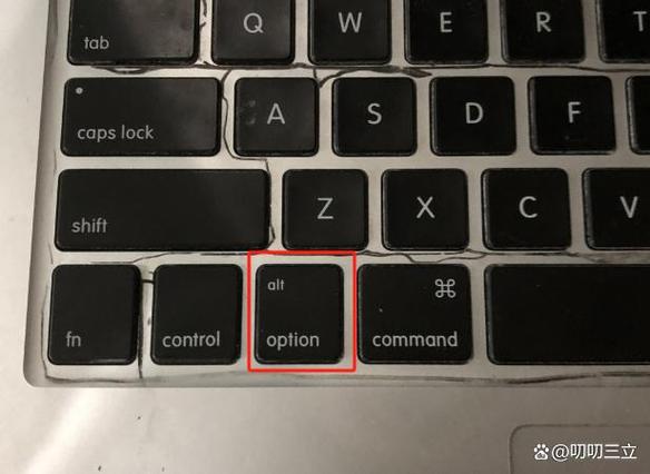 option的作用图标