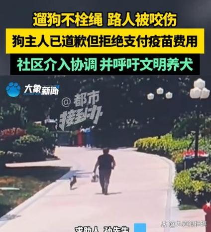狗咬人只赔2000算讹人吗图标