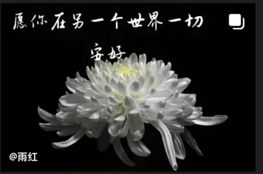 祭奠刚刚离世的亲人截图