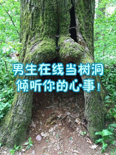 当树洞图标