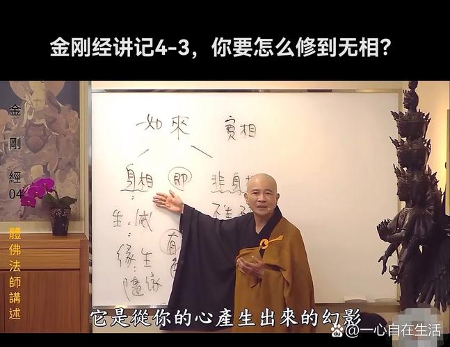 心金与长老对话后悔