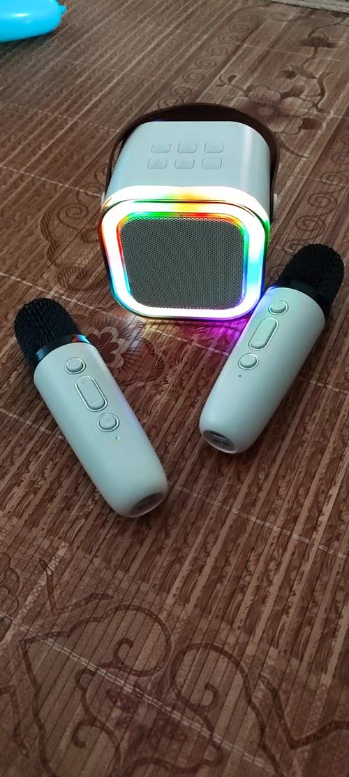 无线蓝牙话筒