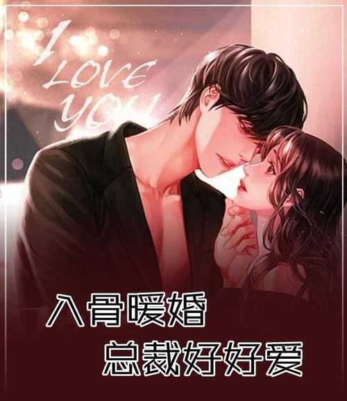 入骨暖婚总裁好好爱全文免费阅读图标