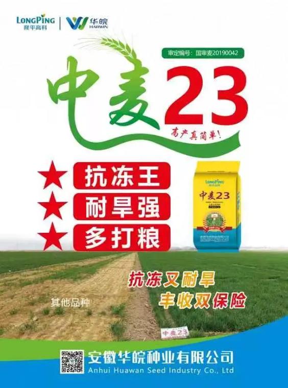 播麦广告语