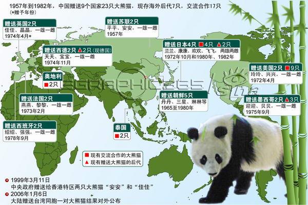 熊猫大陆区块链接图标