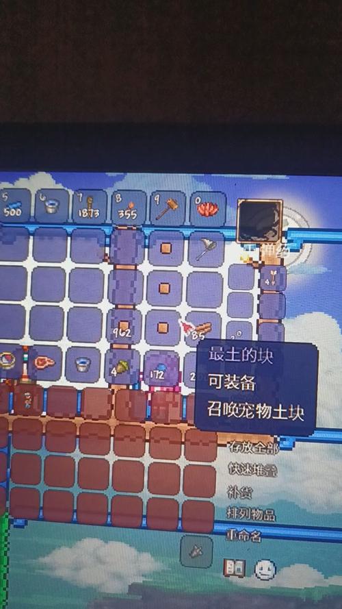 泰拉瑞亚怎么给宠物染色截图