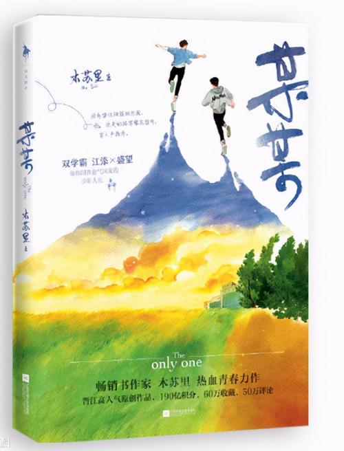 晋江文学城vip怎么开通