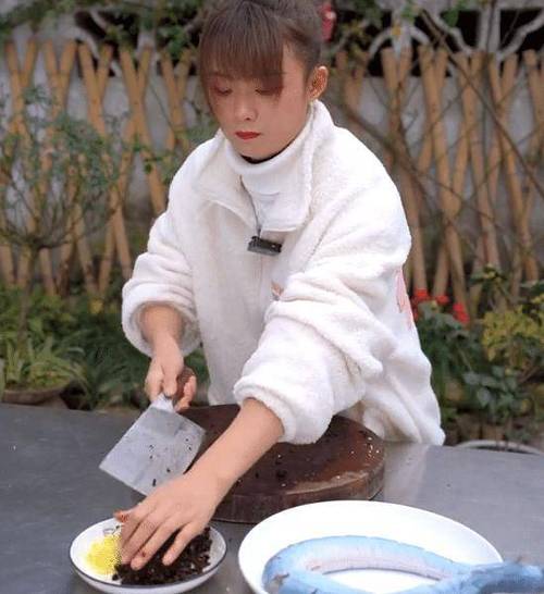 爱做饭的小厨娘截图