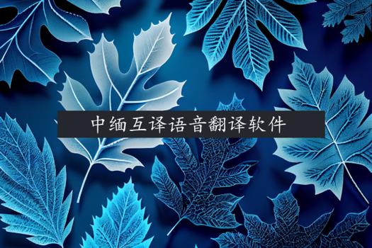 中缅翻译输入法图标