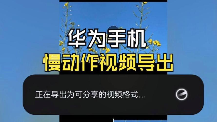 视频变成慢动作怎么改回正常截图