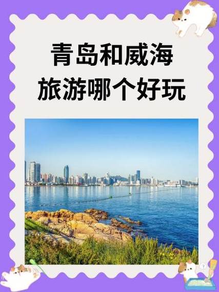 我的青岛app官网图标