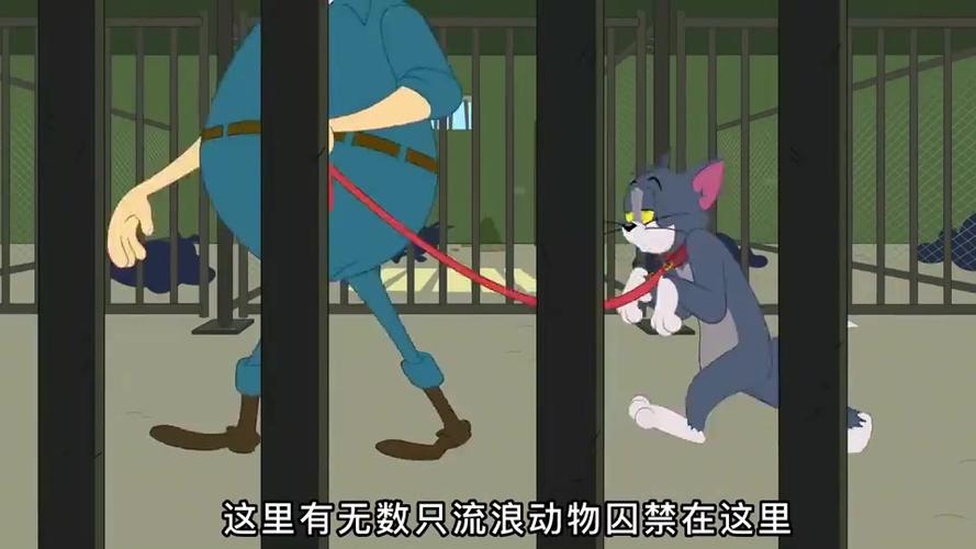 猫和老鼠观战进不去图标