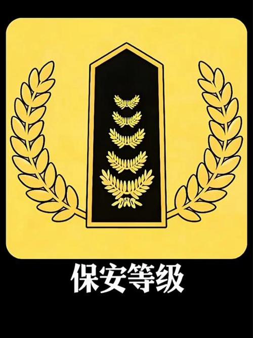 保安等级有几级截图