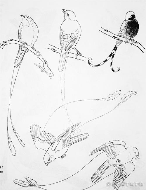 画世界怎么临摹和描图图标