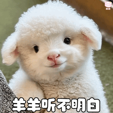 最近很火的动物表情包图标