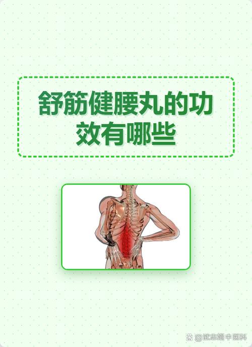 正宗陈李济舒筋健腰丸图标