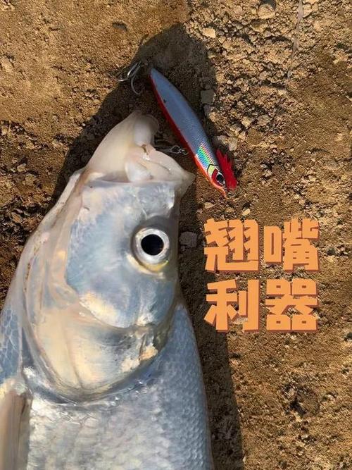 路亚钓翘嘴用什么饵最好