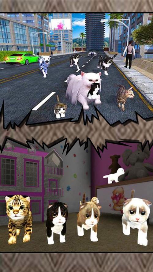 真实小猫3D模拟图标