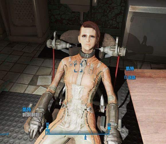 辐射4打npc外貌mod无效