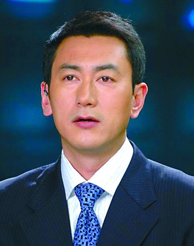 央视十大男主持人截图