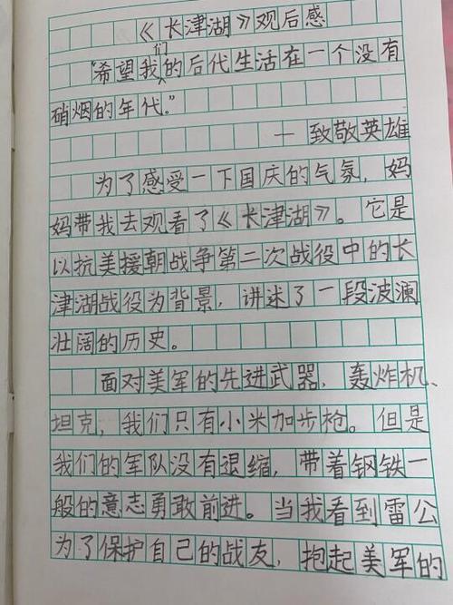 致敬英雄观后感500字图标