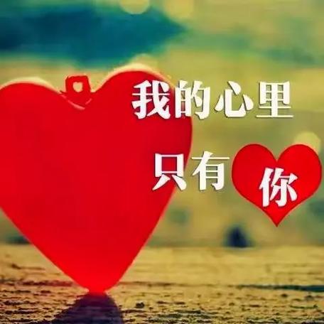 缘玫瑰交友网图标