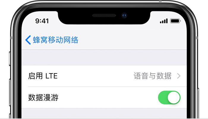 苹果没信号无服务是怎么回事图标