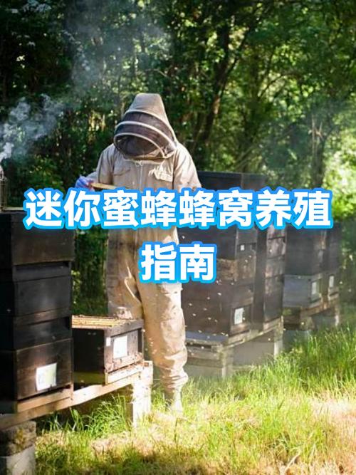 如何防止蜜蜂进入房间图标